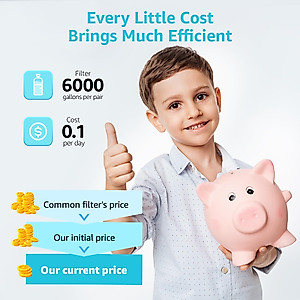 AQUACREST NSF/ANSI 42&372 Certified Water Filter, Replacement for Berkey® Gravity Water Filter System, Berkey® Black Purification Elements, Pack of 2