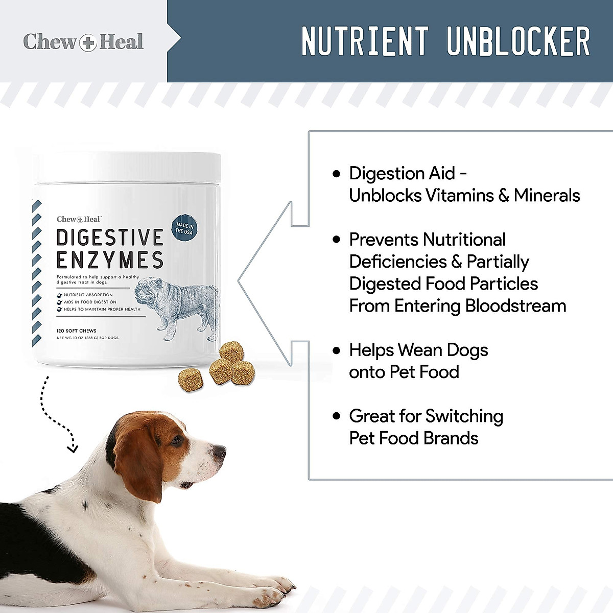 Digestive Enzymes and Probiotics and Cranberry UTI Support for Dogs - Supports Healthy Digestive Tract, Helps Nutrient Absorption - Healthy Urinary Tract and Bladder Function - 120 Soft Chews Each