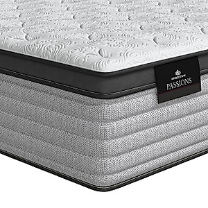 Kingsdown Passions Aspiration 14.75" Pillow Top Mattress Queen