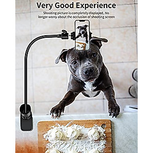 Gooseneck Phone Holder for Bed / Desk, Flexible Phone Holder with 360 Adjustable Clamp Clip, Overhead Phone Mount, for Cookie Decorating, Recording or Watching Video TikTok Blog Crafting Drawing