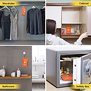 Gocheer Reusable Moisture Absorber Packet, 400g Hangable Safe Dehumidifier Bag for Closet Damp Humidity Removal Desiccant packet for Gym Bag Car RV Kitchen Bathroom Basement Dormitory Wardrobe Cabinet