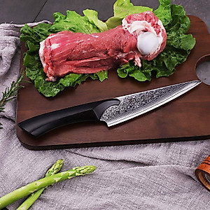 FINDKING 6 Inch Boning Knife, Damascus Steel Skinning Knife, Sharp Meat Knife for Bones (Cheetah Series, w/Ebony Wood Handle)