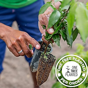 VEDANA Premium Hammered Ayurvedic Pure Copper Water Bottle | Leak Proof 1 Liter Copper Vessel for Drinking Water | Great Water Bottle for Sports, Yoga & Everyday Use