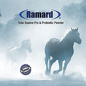 Ramard Total Prebiotic & Probiotic Equine Formula - Natural Ingredients for Foals & Adult Horses, Healthy Gut Flora & Optimal Nutrient Absorption - The Ultimate Digestive Supplement - 8.5 oz Jar