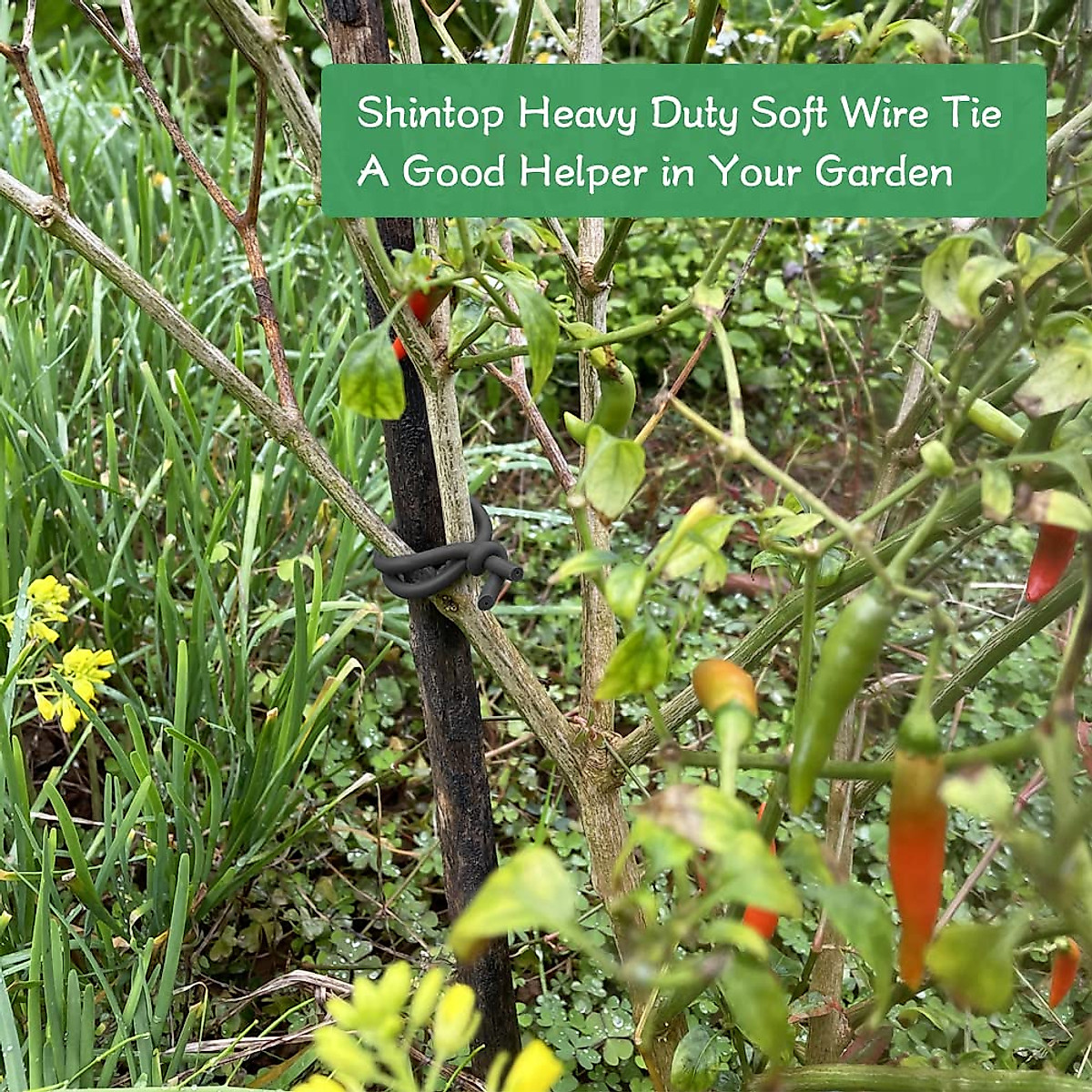 Shintop Reusable Garden Plant Twist Tie 2.8mm, 2PCS 65Feet Heavy Duty Soft Wire Tie for Tomato Plants, Climbing Roses and Vines Organizing (Black)