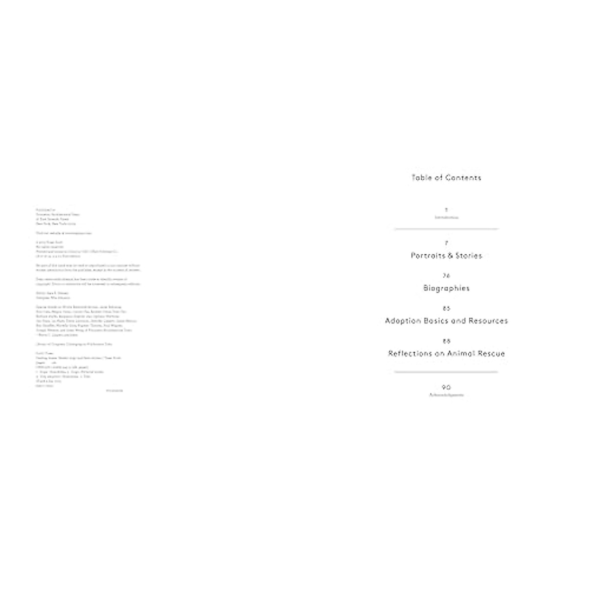 Finding Home: Shelter Dogs and Their Stories