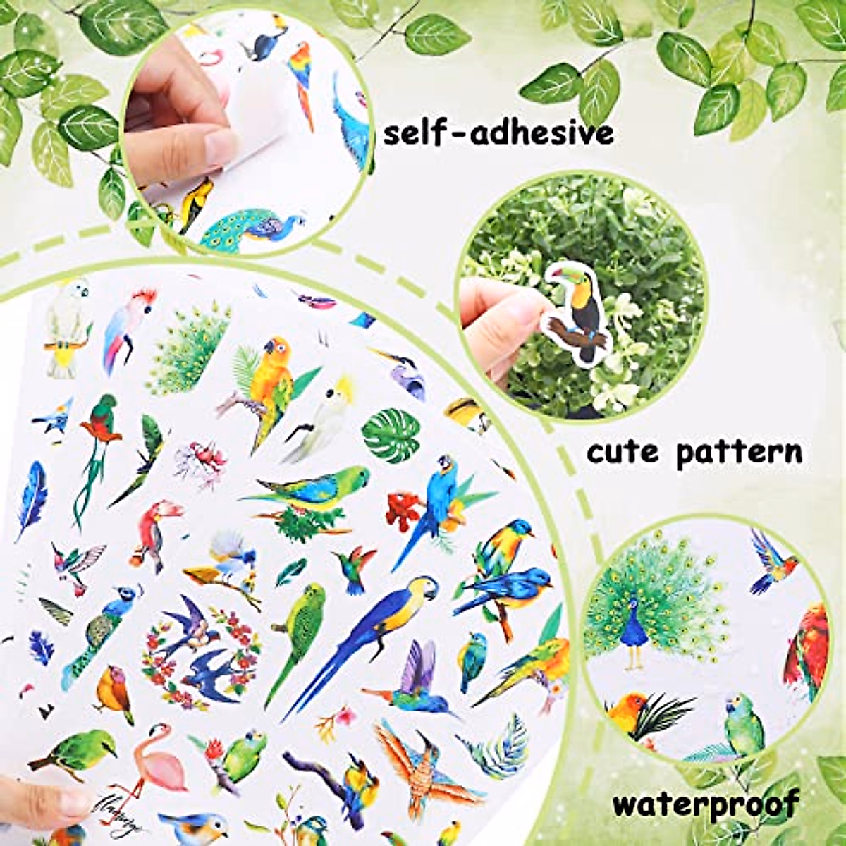 Watercolor Bird Stickers Party Favors 730 Counts Animal Jungle Woodland Tropical Birds Flamingo Parrot Stickers Gift Water Bottle Scrapbook Laptop Planner Stickers Kids Boys Girls Birthday Party