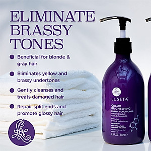 Luseta Purple Conditioner for Colored, Grey, Blonde & Dry/Damaged Hair - Women's Sulfate & Paraben Free, 16.9oz