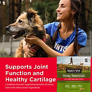 Nutri-Vet Hemp Hip & Joint Soft Chews for Dogs - with Glucosamine and MSM - Peanut Butter & Honey Flavor - 12.7 Ounces