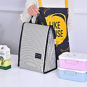 Pack of 2 Insulated Lunch Bag for Women Men, Stylish Lunch Tote Bag, Medium + Large Handbag with Zipper Lunch Box for Work, School, Shopping