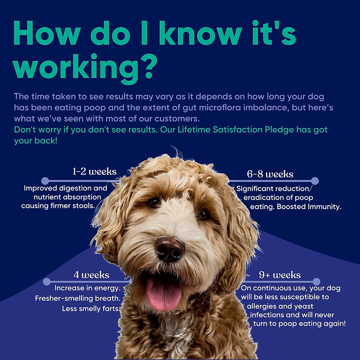 Vetrinex Labs Coprophagia Poop Eating Deterrent & Prevention, Stop & Prevent Stool Eating Treatment - Probiotics for Dogs, Cats and Puppies - Forbids Dog from Eating Poop - Probiotic Powder (120 GMS)