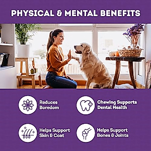 Treatly USA Collagen Rolls 9-10" Dog Chew Treats - Natural Flavor, 4 Count/1 Pack