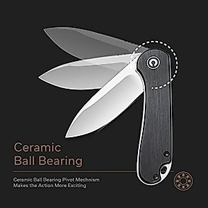 CIVIVI Elementum Folding Pocket Knife D2 Satin 2.96" Blade, Wood Handles C907D (Black Ebony Wood)