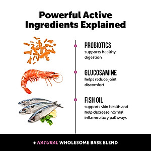 PetHonesty 10 in 1 Multivitamin + Allergy Support Soft Chew Supplement Bundle - Skin & Seasonal Pollen Allergies - Itch Relief for Dogs - Joint, Digestive, Heart, Skin, Coat & Immune Support Vitamin