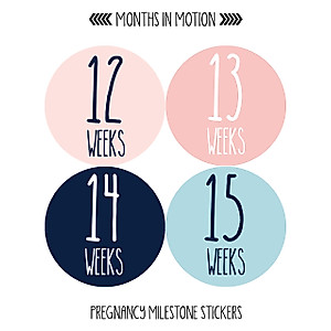 Months In Motion Weekly Pregnancy Growth Stickers | Week to Week Pregnant Expecting Photo Prop | Maternity Keepsake | Baby Bump | Weekly Stickers (Set of 36 Stickers)