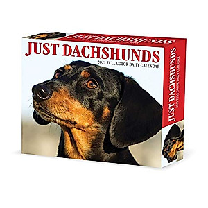 Just Dachshunds 2021 Box Calendar (Dog Breed Calendar)