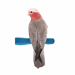 Sweet Feet and Beak Comfort Grip Safety Perch for Bird Cages - Patented Pumice Perch for Birds to Keep Nails and Beaks in Top Condition - Safe Easy to Install Bird Cage Accessories - M 8.5"