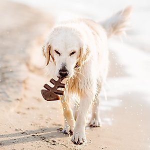 Benebone Fishbone Durable Dog Chew Toy for Aggressive Chewers, Real Fish, Made in USA, Large