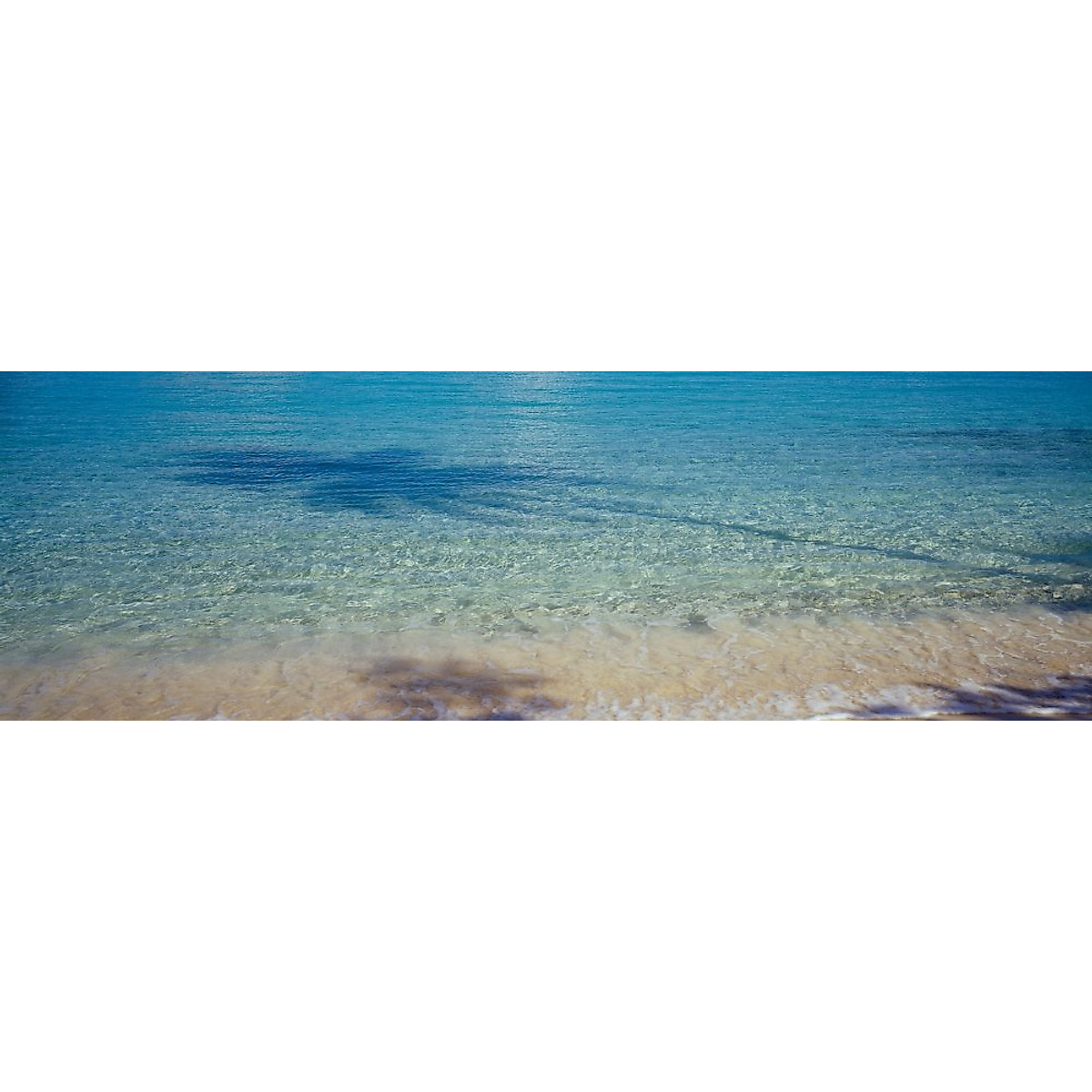 Posterazzi Shadow of trees on water Hawksnest Bay National Park St John US Virgin Islands Poster Print, (27 x 9)