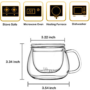 Set of 2 Glass Tea Cups Tea Mug with Infuser and Lid - Heat Resistant Borosilicate Glass, Clear Teacup with Strainer for Loose Leaf Tea, Blooming Tea, and Tea Bags - Ideal for Tea Lovers