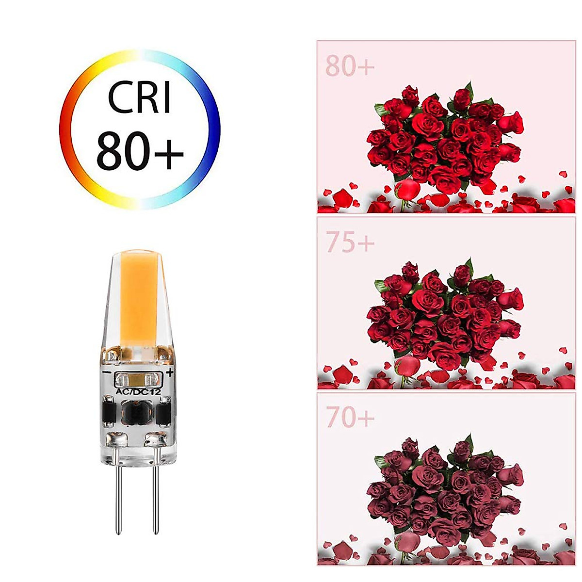 G4 LED Bulb 2W Equivalent to 20W T3 JC Type Bi-Pin G4 Base Halogen Bulb, AC/DC 12V Warm White 3000K G4 Bulb for Under Cabinet Light, Ceiling Lights, RV, Boats, Outdoor Landscape Lighting (10 Pack)