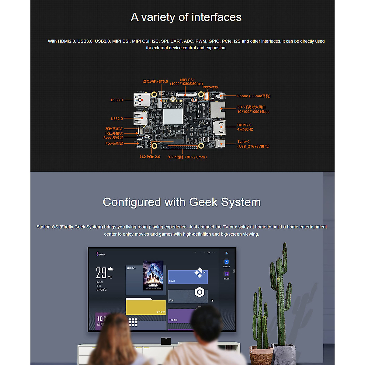 Firefly EC-R3566PC RockChip RK3566 Embedded AI IoT Single Board Computer Onboard 4GB RAM + 32GB eMMC Gigabit Ethernet Ports for Smart NAS and Cloud Server Support Android 11.0 Ubuntu
