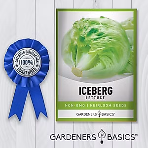 Iceberg Lettuce Seeds for Planting - (Head) Heirloom, Non-GMO Vegetable Variety- 2 Grams Seeds Great for Spring, Summer, Fall, Winter Garden and Hydroponics by Gardeners Basics