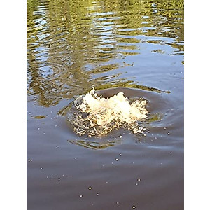 America's Best Koi Food 20 lbs Koi Fish Food Small to Medium Pond Pellets for Pond Fish with 35% Protein