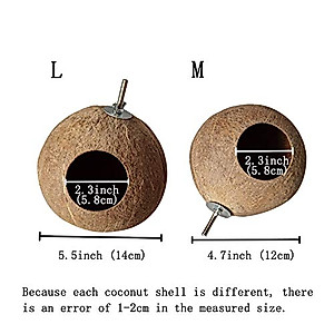 OMEM Bird Coconut House,Hamster House,Coconut Shells can Fixed in Bamboo, Birdcages, Hamster Cages (L)