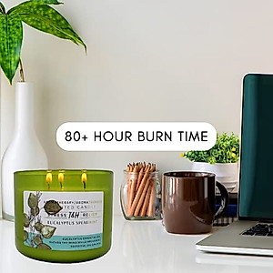 Stress Relief Aromatherapy Candles Eucalyptus Spearmint Scented Candle | 15.8 oz Soy Candles for Home | Decorative Candles Long Lasting 3 Wick Candle