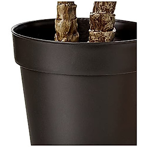 Amazon Basics Artificial Yucca Plant with Plastic Nursery Pot, 40-Inch