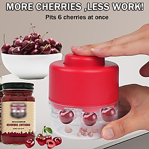 Cherry Pitter, 7-in-1 Cherry Pitter Tool Pit Remover, Heavy-Duty Metal Cherry Seed Remover, 7 Holes Cherry Stoner Pitter Quick Release, Multiple Cherry Pit Remover for Kids/Cherries Jam