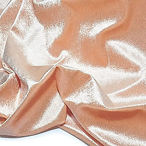 Stretch Velvet 60 Inches Width by The Yard Entelare(Champagne 1Yard)