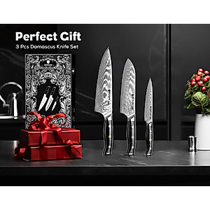 Damascus Knife Set 3 PCS with Premium VG10 Damascus Steel, Ultra-Sharp Professional Japanese Kitchen Knife Set, Full Tang Chef Knife Set with G10 Hand