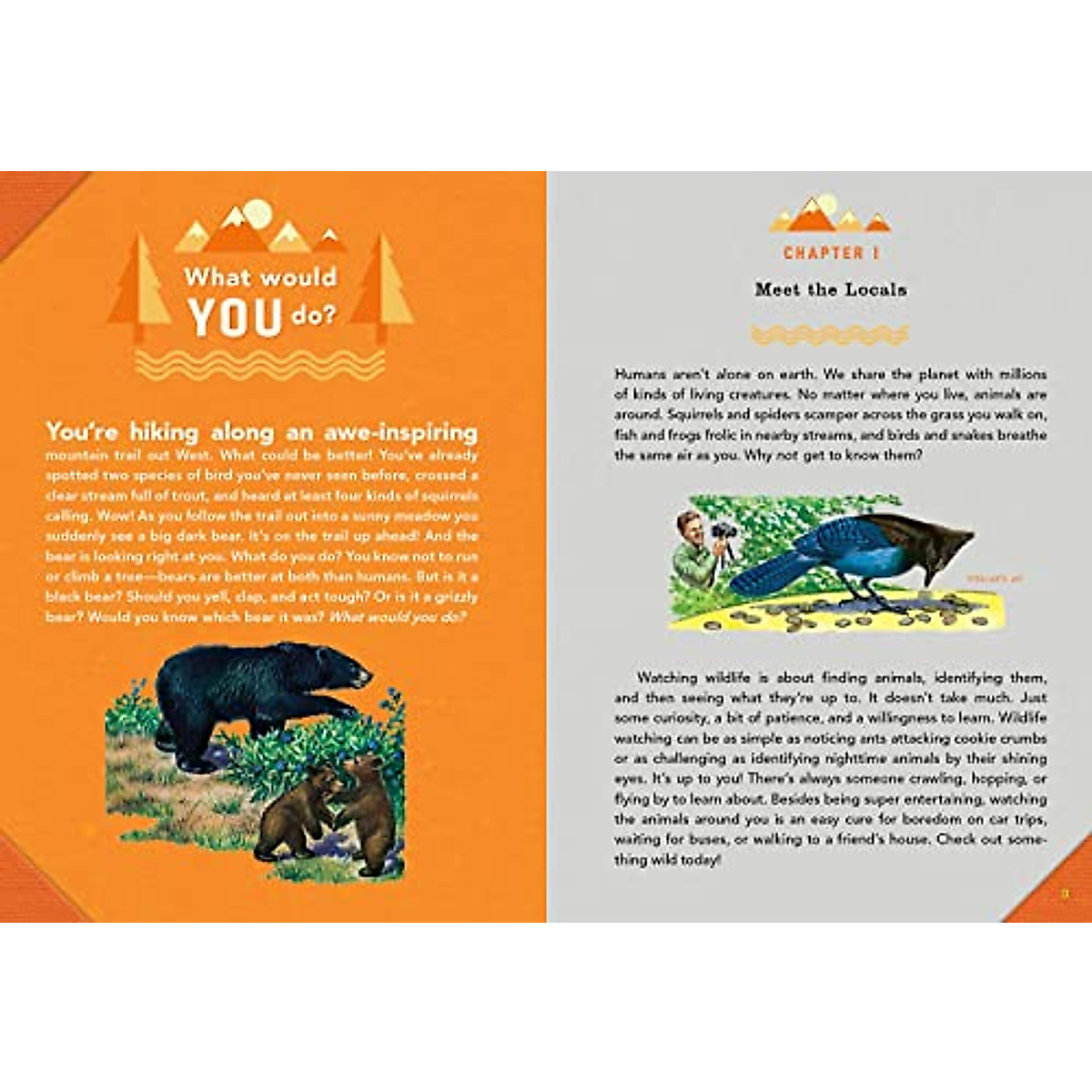Outdoor School: Animal Watching: The Definitive Interactive Nature Guide