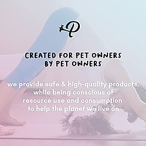 PETIQUE Double Decker Pet Stroller, Two-Level Cat and Dog Stroller, Lightweight Yet Sturdy Cat and Dog Carriage, Washable, Travel-Friendly and Easy to Fold, Sleek Black Design