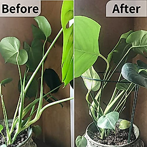 10pack Garden Plant Support Stake 10" Wide x 16" High Half Round Metal Garden Plant Support Ring Border Support, Plant Support Ring Cage for RoseFlowers Vine Tomato with 20pack Plant Clips &Plant Ties