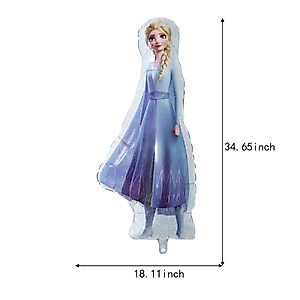 HTRY 5PCS Frozen Foil Balloons for Kids Birthday Baby Shower Elsa Theme Party Decorations