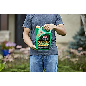 Ortho WeedClear Lawn Weed Killer Ready-to-Use Refill: For Northern Lawns, 1.33 gal.