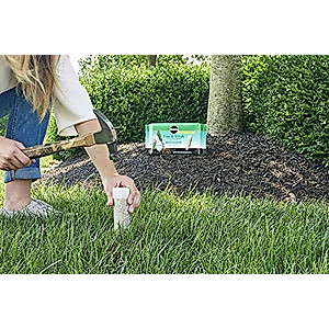 Miracle-GRO Tree & Shrub Fertilizer Spikes, 5 Pack