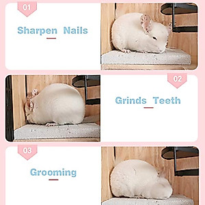 Hamiledyi Bunny Grinding Claw Pad Rabbit Lava Grinding Teeth Stone Hamster Chew Toy for Rat Gerbil Chinchilla Hedgehog Guinea Pig…