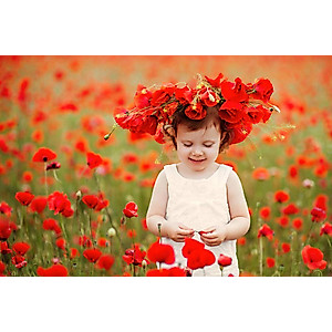 Poppy Seeds for Planting, 80000+ Poppy Flower Seed for Outdoors