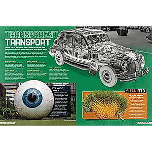 Ripley's Believe It Or Not! Escape the Ordinary (19) (ANNUAL)