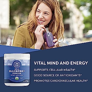 Vimergy USDA Organic Wild Blueberry Supplement Powder, 62 Servings – Natural Wild Blueberries - Fruit Powder for Smoothies, Juices, Fruit Bowls – Low-Bush, Non-GMO, Gluten-Free, Vegan, Paleo (250g)