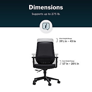Vari Essential Task Chair - Varidesk Ergonomic Home Office Chair with Comfortable Mesh, Lumbar & Back Support, Adjustable Height - Ideal for Computer Desk - Easy Assembly - Black