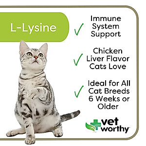 Vet Worthy L-Lysine Soft Chews for Cats - Cat Supplement to Support the Immune System and Overall Health - Cat Vitamins with 250 mg L-Lysine per soft chew - Chicken Liver Flavor Soft Chews, 3.17oz