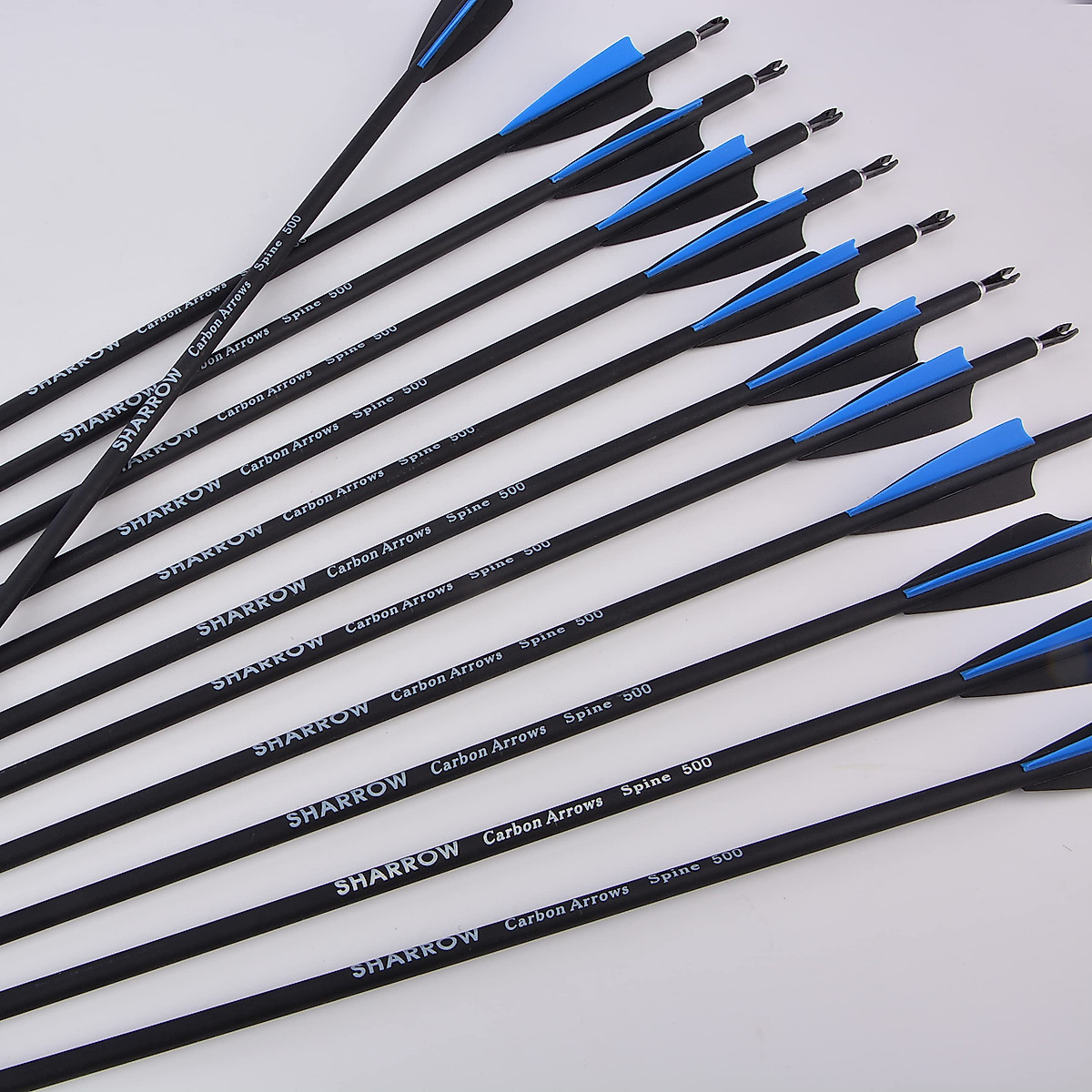 AMEYXGS 31 Inch Carbon Arrow Practice Hunting Arrow for Compound & Recurve Bow Hunting Shooting (Blue)