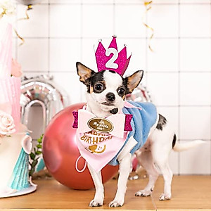 Dog Birthday Party Supplies, Dog Birthday Hat/Bandana/Bowtie/Balloon/Flag/Banner for Small Medium Large Dogs Pets, Doggie Birthday Party Supplies Decorations