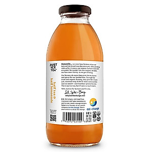 Just Ice Tea Organic Iced Tea, 16 Fl Oz Glass Bottles (Half Tea & Half Lemonade, Pack of 12)