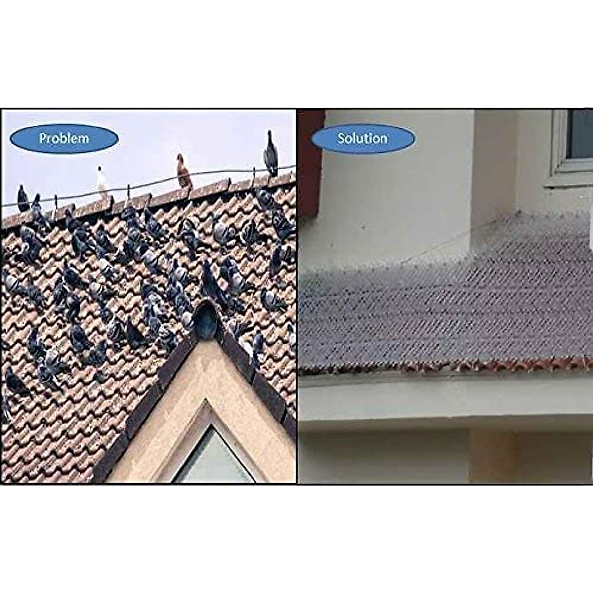 MorningVale -Bird Spike Pigeon Control Spike Set of 50 Pieces